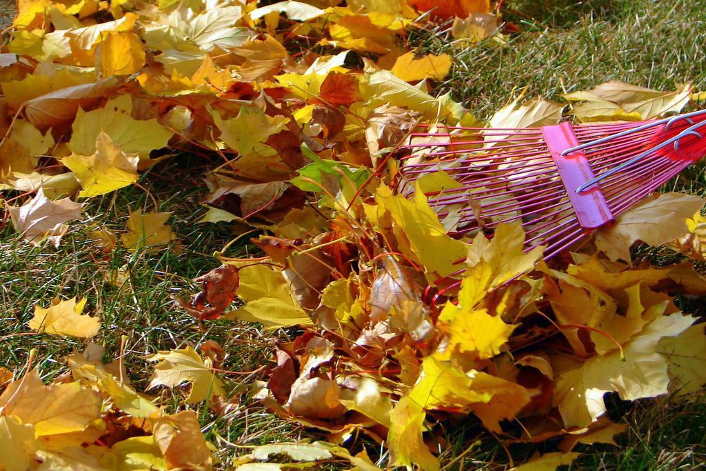 Fall Clean Up Day - Faith Mennonite Church - Minneapolis